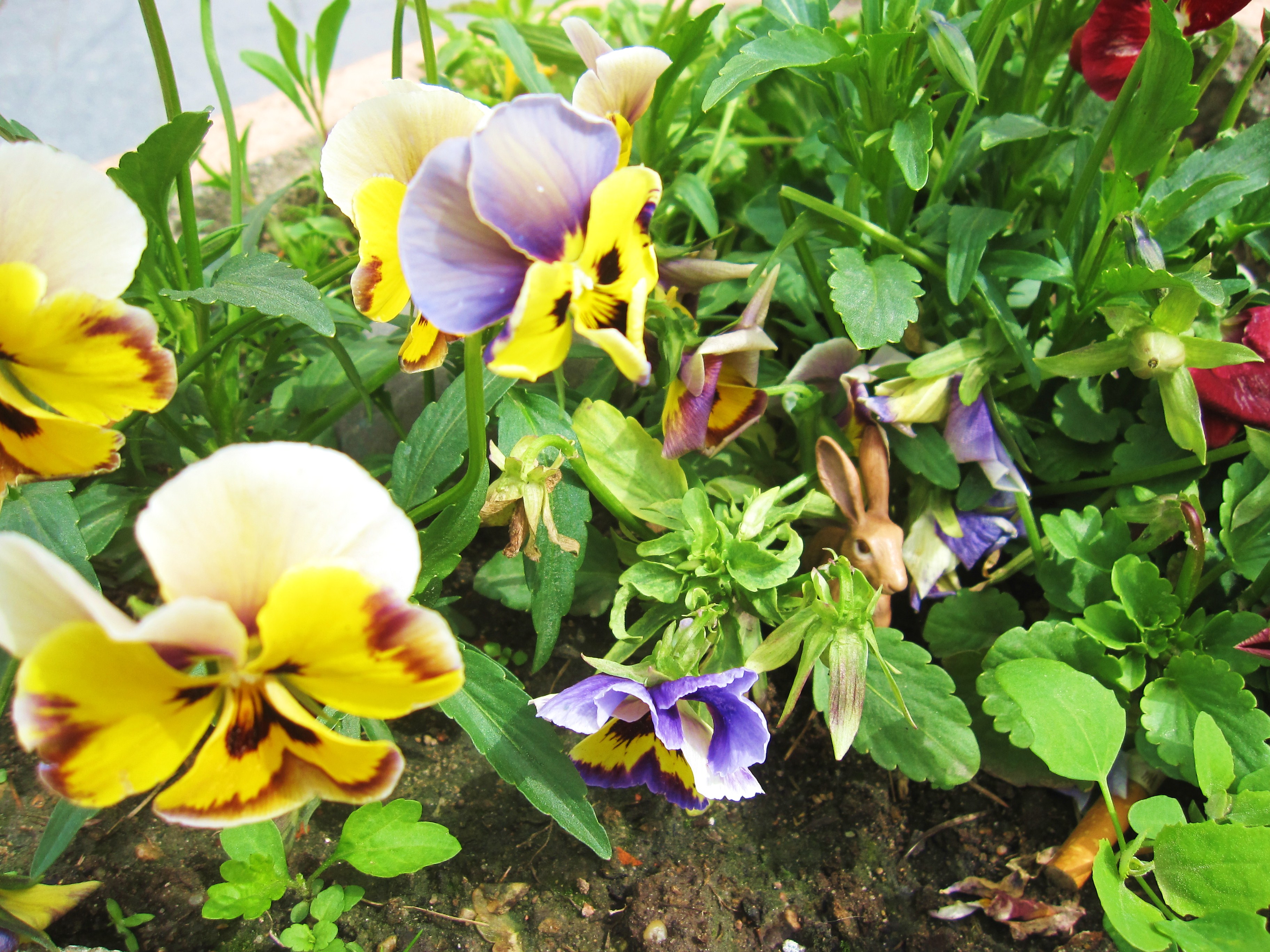 Vilnius Mäxchen – Carsten Weidling Autor & Reisender