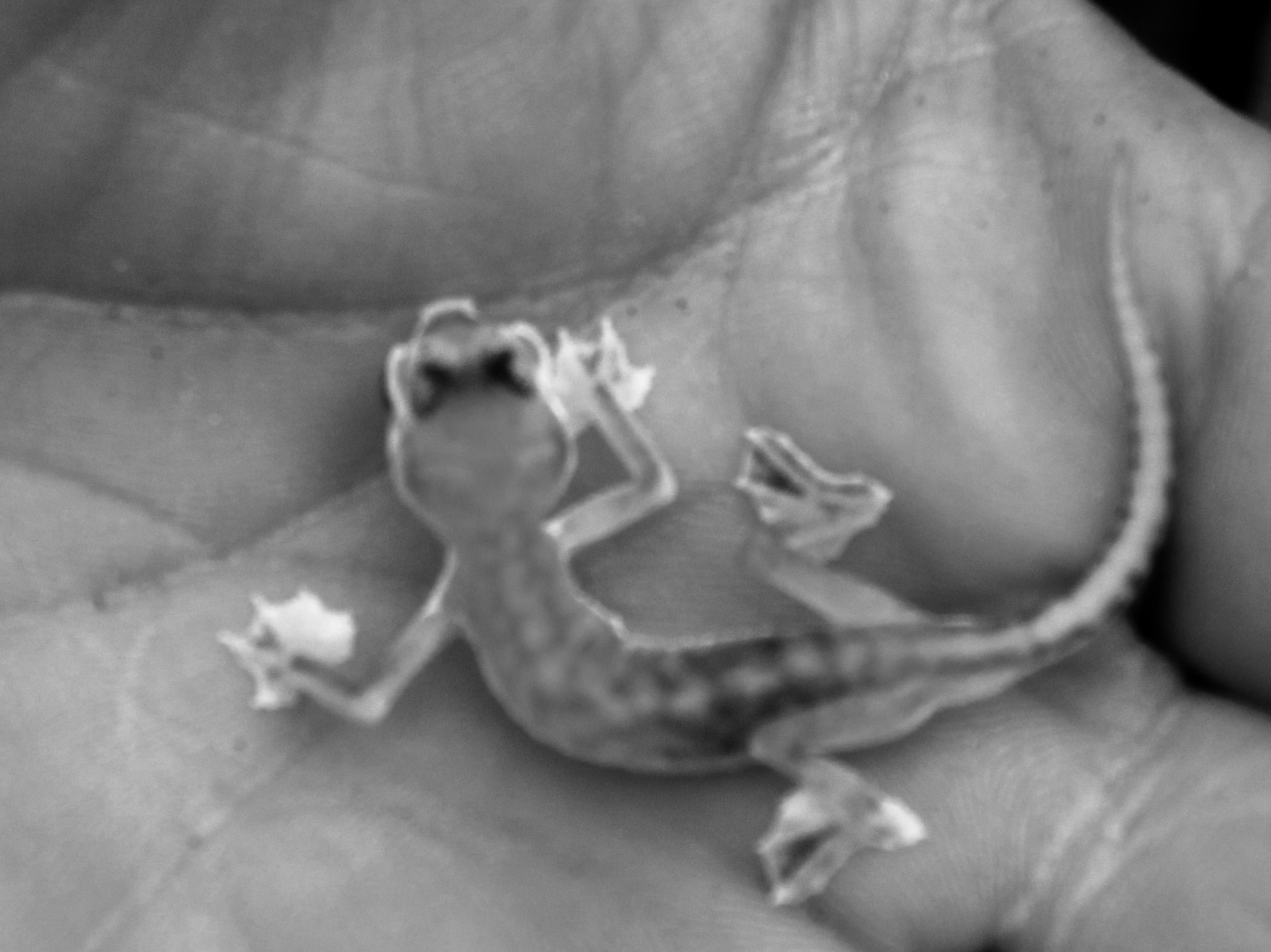 581 – Carsten Weidling Autor & Reisender